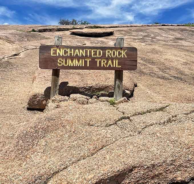 You've reached the summit trail marker, which means the real fun is about to begin.