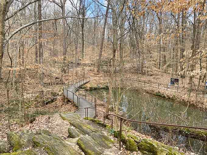 This S-curve boardwalk proves that the scenic route is always worth taking, even if it adds steps.