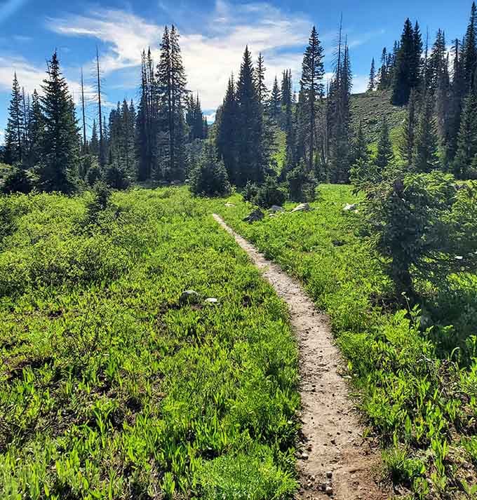 Mountain trails wind through meadows so green, you'll wonder if someone's been over-watering the wilderness.