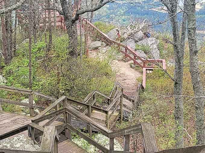 These wooden stairs wind through the forest like a choose-your-own-adventure book, except every choice leads somewhere beautiful.