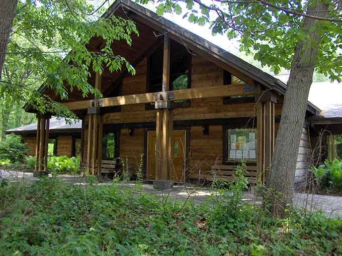 The Nature Center welcomes you like an old friend who happens to know everything about local wildlife.