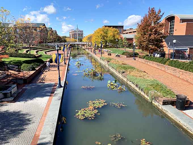 Carroll Creek Park proves that urban planning can actually be beautiful when someone bothers to try hard enough.