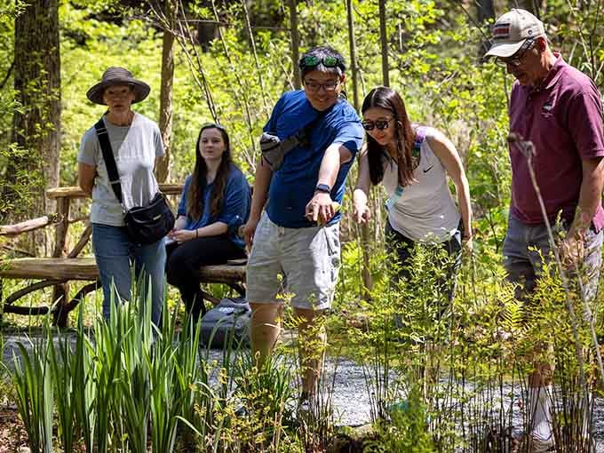 Nothing beats a guided tour where the guides actually care about what they're showing you, not just reciting memorized facts.