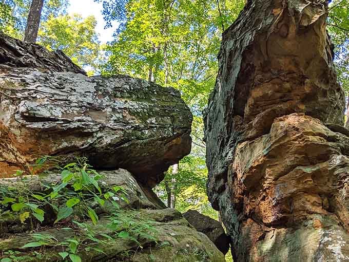 Mother Nature spent 300 million years sculpting these formations, and she absolutely nailed the dramatic reveal.