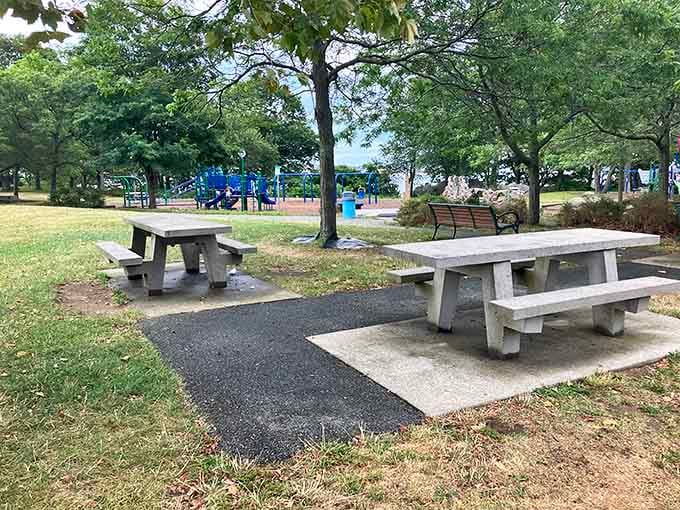 Stage Fort Park's picnic tables have hosted countless lobster rolls and family debates about who forgot the napkins.