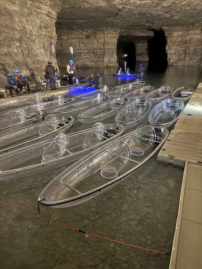 Those clear-bottom kayaks aren't just for show, they're your window into an aquatic underworld you never knew existed.