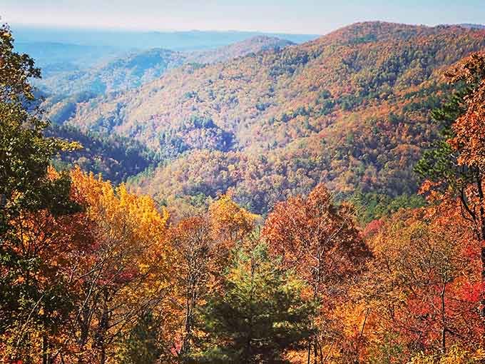 Fall colors painting the gorge like someone spilled an entire art supply store down the mountainside.