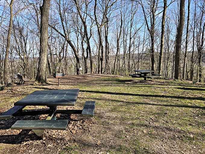 Sugarloaf Park: because sometimes the best entertainment is a picnic table and absolutely no agenda whatsoever.