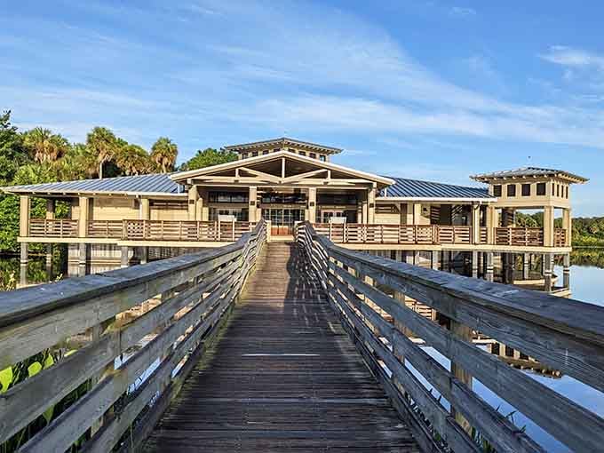 This boardwalk stretches toward adventure, proving the best journeys don't require leaving your own backyard in Florida.
