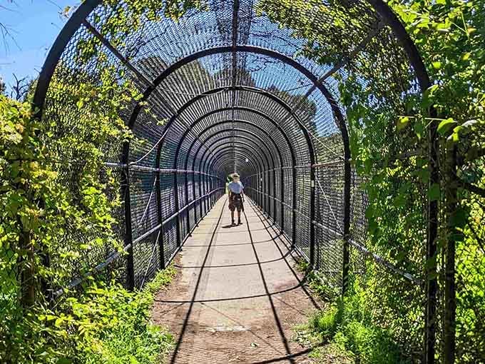 This tunnel bridge feels like walking through nature's own security checkpoint, minus the shoe removal and questionable authority figures.