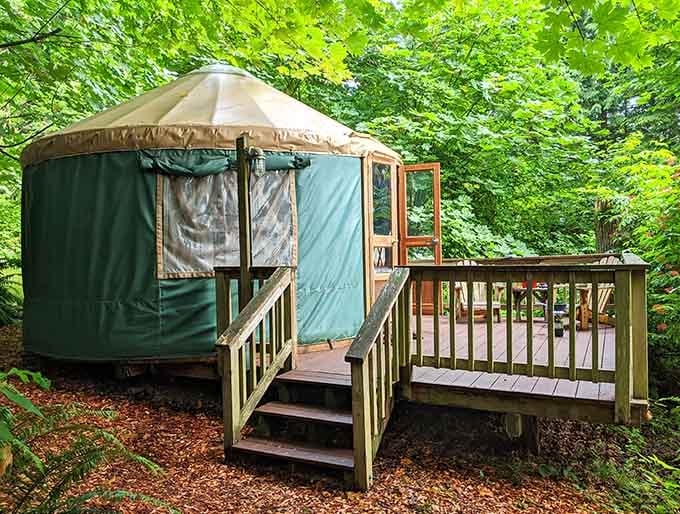 This isn't your average camping experience—it's a yurt with a deck, proving you can have adventure and a proper entrance.