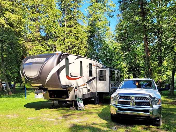 Shaded campsites nestled among the trees offer that perfect blend of wilderness and "I still have my coffee maker" comfort.