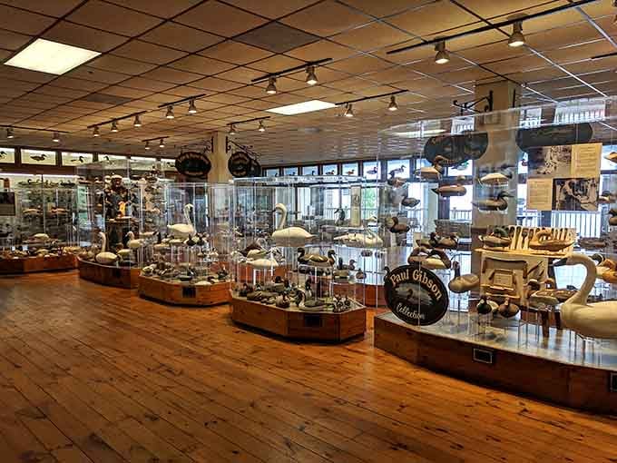 Inside the Decoy Museum, wooden waterfowl prove that hunting tools can absolutely qualify as fine art.
