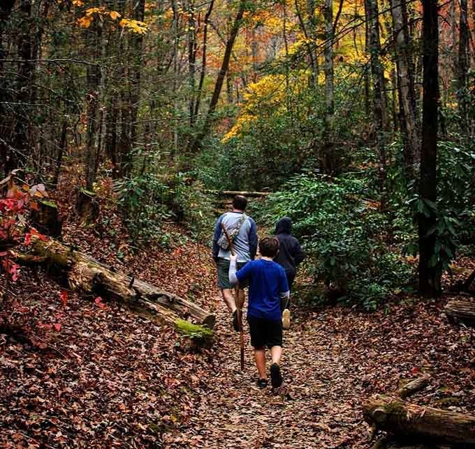 The trail beckons through autumn's finest work, promising something spectacular just around the bend ahead.