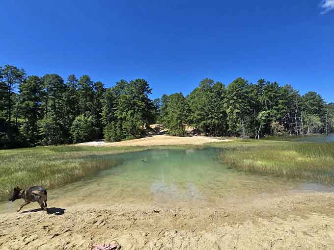This angle reveals why they call it Hidden Lake, tucked away like nature's private swimming pool.