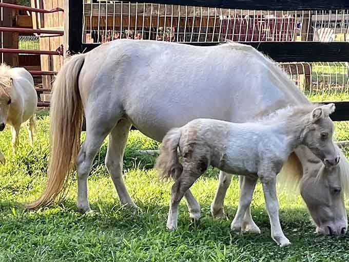 When mom brings the whole family out for snacks, it's the most wholesome content you'll see today.