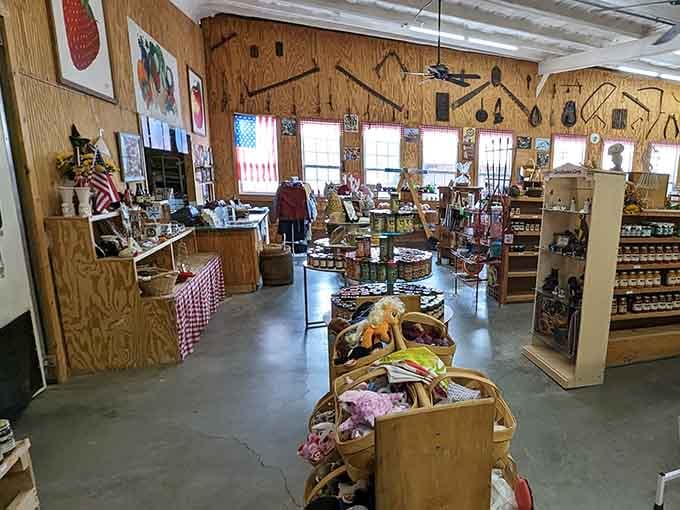 Multiple barn structures create a genuine agricultural campus where real farming happens alongside visitor experiences daily.