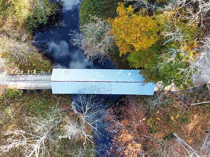 From above, the bridge looks like a perfectly wrapped gift the forest decided to keep.