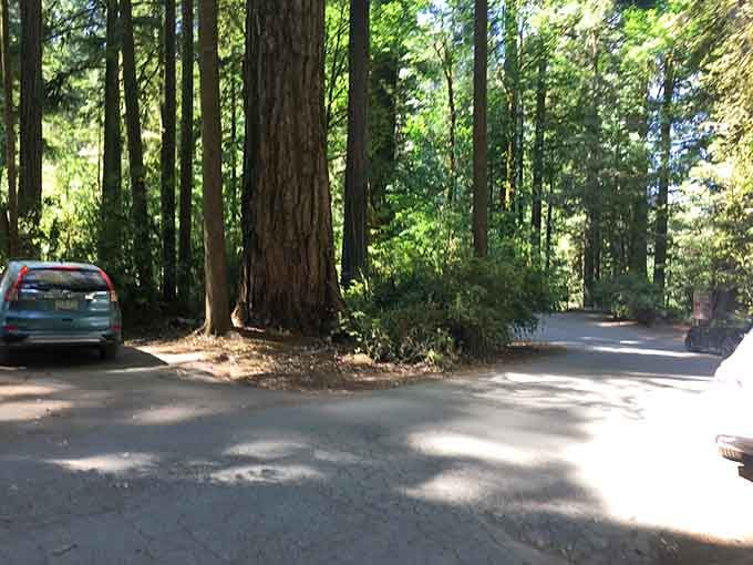 Even the parking areas here are surrounded by trees that make your problems seem refreshingly insignificant.