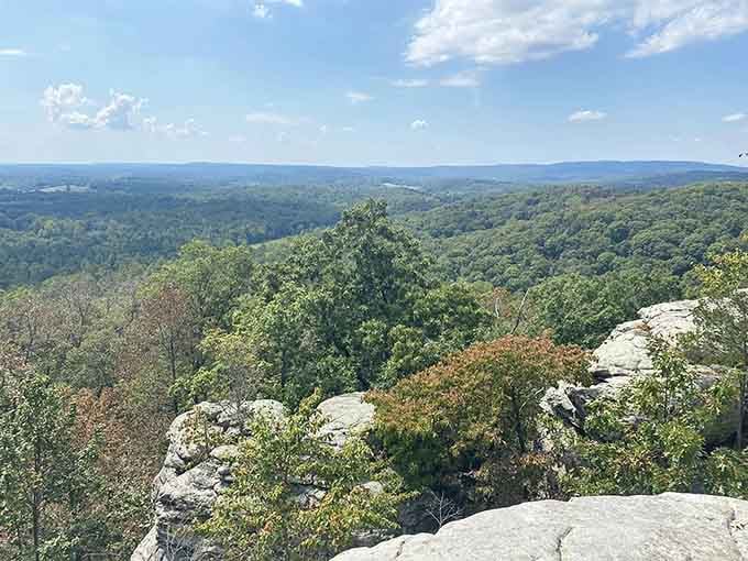 Miles of emerald forest canopy roll like ocean waves, proving Illinois has more tricks up its sleeve.