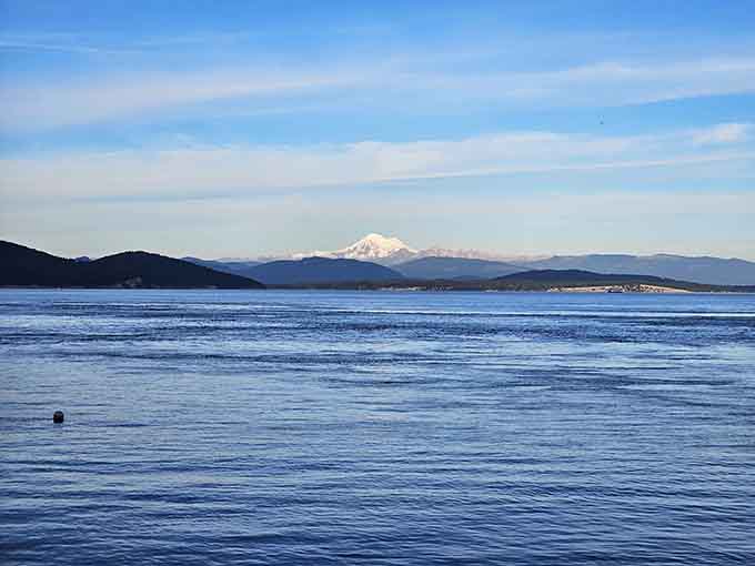 Mount Baker watches over the San Juans like a benevolent snow-capped guardian of your island escape.