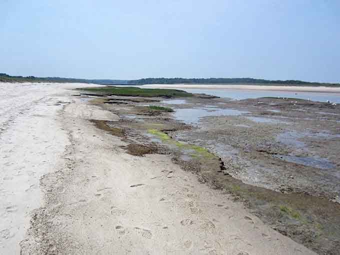 Low tide reveals the bay's secret landscape, a moonscape of sand and seaweed worth exploring.