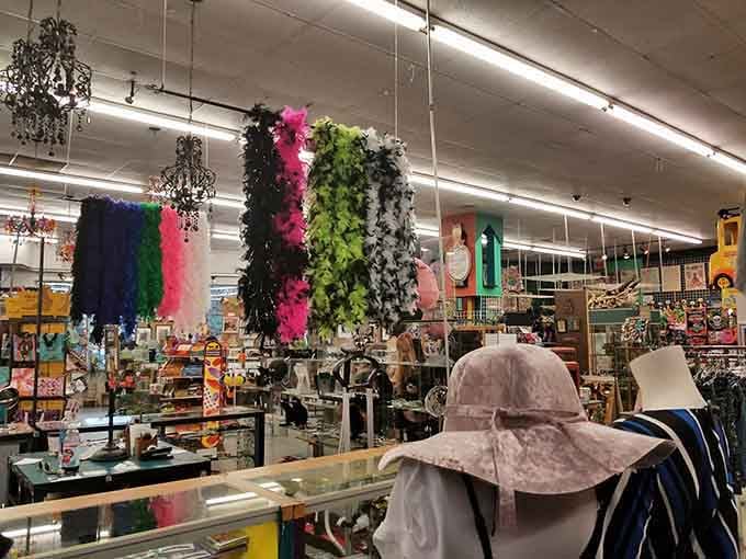 Feather boas hanging like a rainbow waterfall, because sometimes you need to channel your inner Cher on Tuesday.