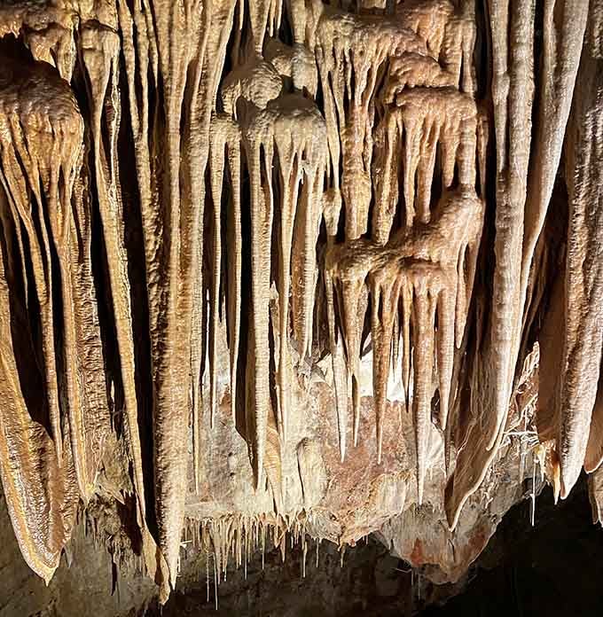 These delicate formations grow slower than your retirement savings, but the results are far more spectacular.