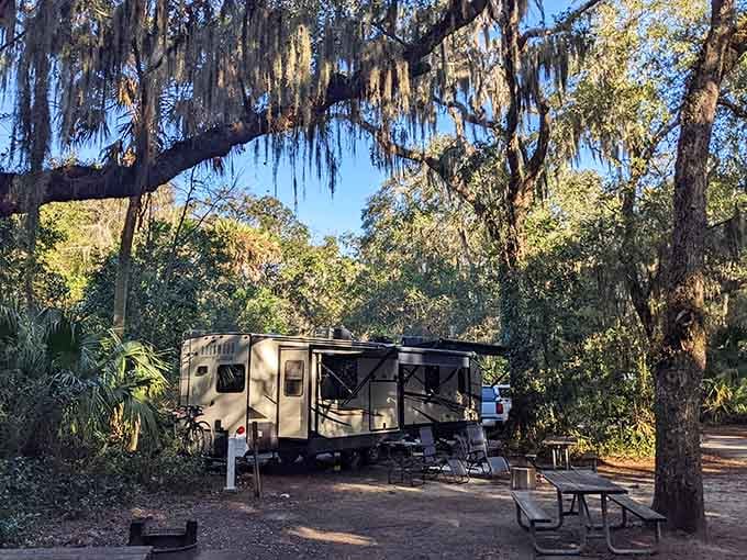 Camping under Spanish moss and live oaks beats any five-star hotel that doesn't include nature's air conditioning.