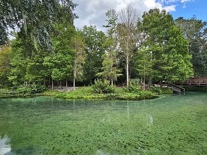 This swimming hole makes your neighborhood pool look like a puddle in a parking lot.