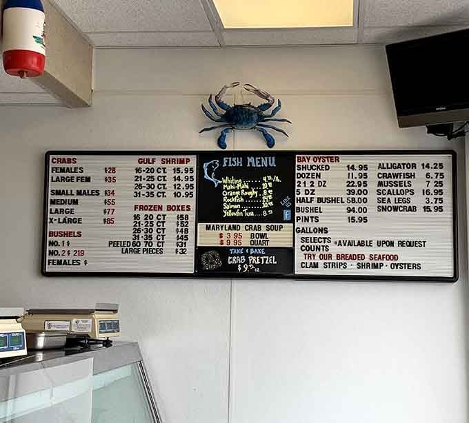 When the menu board features a blue crab keeping watch, you know you're in for some serious Chesapeake Bay goodness.