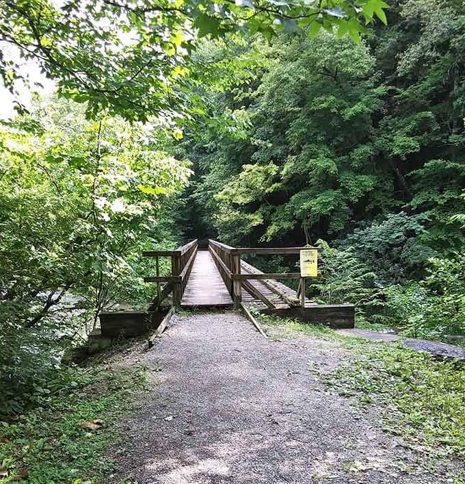 This charming wooden bridge leads you deeper into the forest, where your biggest worry is forgetting which trail you took.