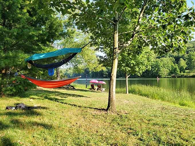 Hammock life between the trees: because sometimes the best activity is strategically planned inactivity with a view.