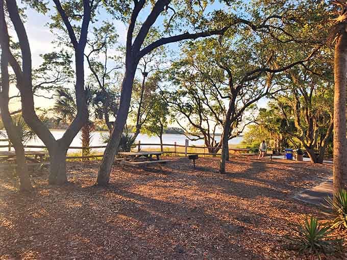 Picnic tables under live oaks create the perfect spot where nature provides the air conditioning and the ambiance.