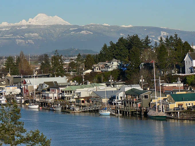 Mount Baker watches over the waterfront like a benevolent giant reminding you why Washington's scenery ruins you for everywhere else.