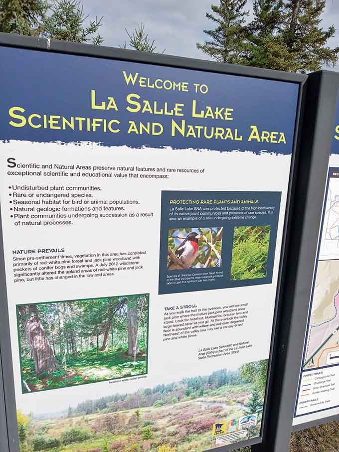 A Scientific and Natural Area means nature gets to be the boss here, and honestly, she's doing fantastic work.