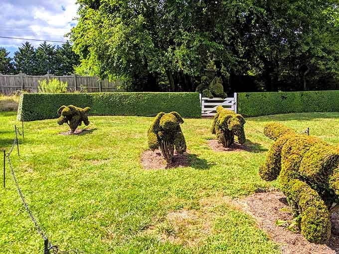 Living sculptures that would make Edward Scissorhands weep with joy, frozen mid-chase across the lawn.