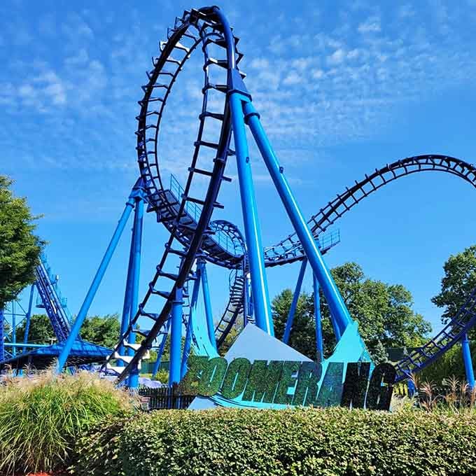 The Zoomerang sends you forward and backward, proving that sometimes the best thrills work both ways.