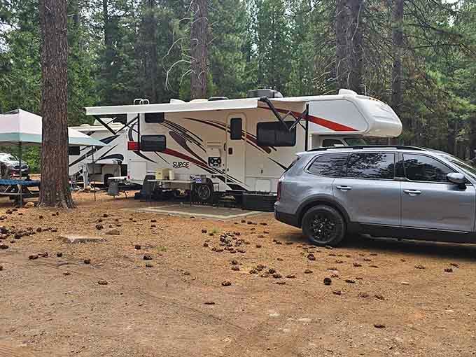 RV camping among the pines means you get wilderness views with the comfort of not sleeping on rocks.