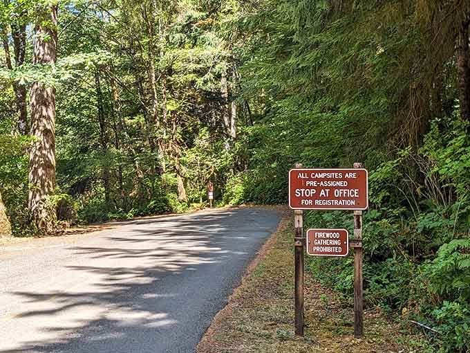 When the sign says firewood gathering permitted, you know you've found a camper-friendly paradise worth exploring.