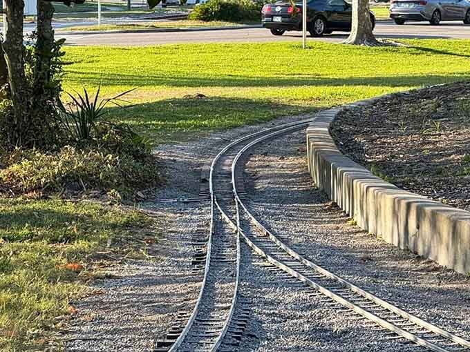 These gleaming rails curve through the park like a promise of adventure waiting just around the bend.