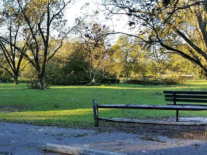 Market Park offers the kind of green space where you can actually hear yourself think, novel concept.