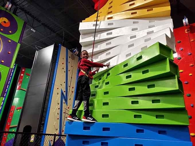 Ninja warrior training starts young these days, complete with harnesses and the determination of tiny gladiators everywhere.