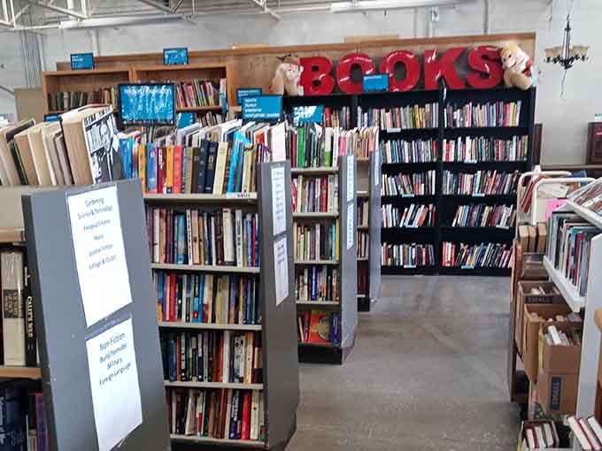 Book lovers, clear your afternoon schedule—this section has more stories than your chatty neighbor at the grocery store.