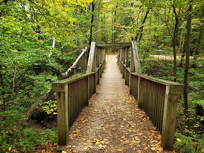 This wooden bridge through the forest feels like the gateway to Narnia, minus the talking lions and Turkish delight.