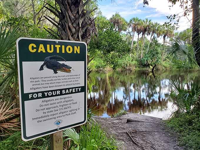 When a sign politely suggests not swimming with alligators, it's probably worth taking that advice seriously.