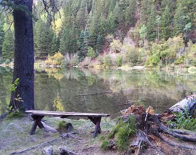 Someone thoughtfully placed a bench here, probably because they knew you'd need a moment to process all this beauty.