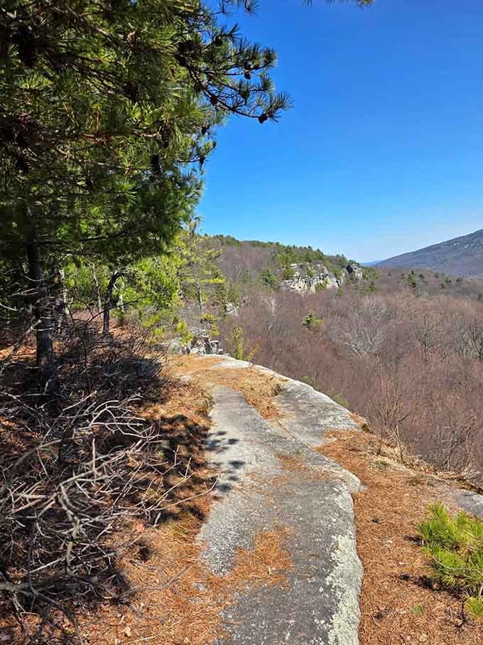 Standing on ancient stone with valley views stretching forever&mdash;because sometimes the best seats don't require reservations.