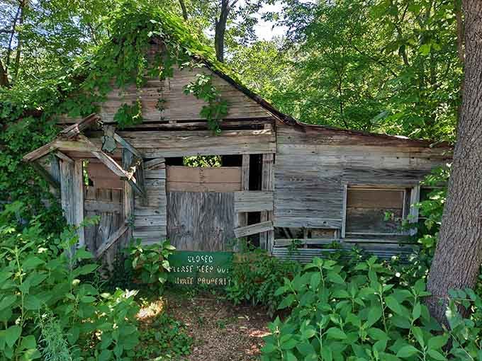 Historic buildings dot the property, weathered reminders of the humans who tried claiming this magical valley.