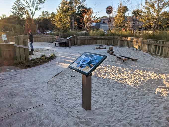 Educational sand play meets beachside fun, proving that learning about marine life is infinitely better with sand between your toes.